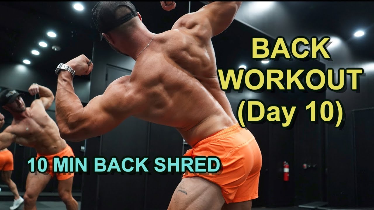 BACK WORKOUT (30 Day Heat Program) - YouTube