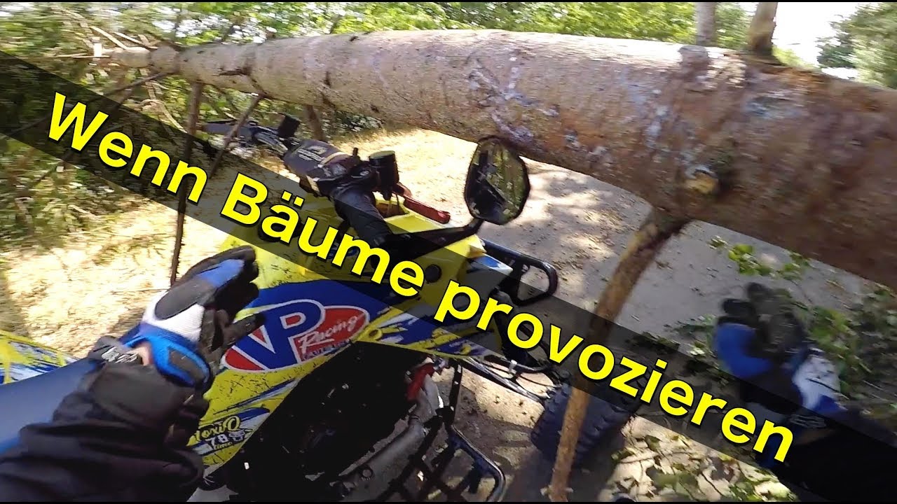 Baum provoziert mich! / Mikro Probleme / Quad-Vlog ToxiQtime - YouTube