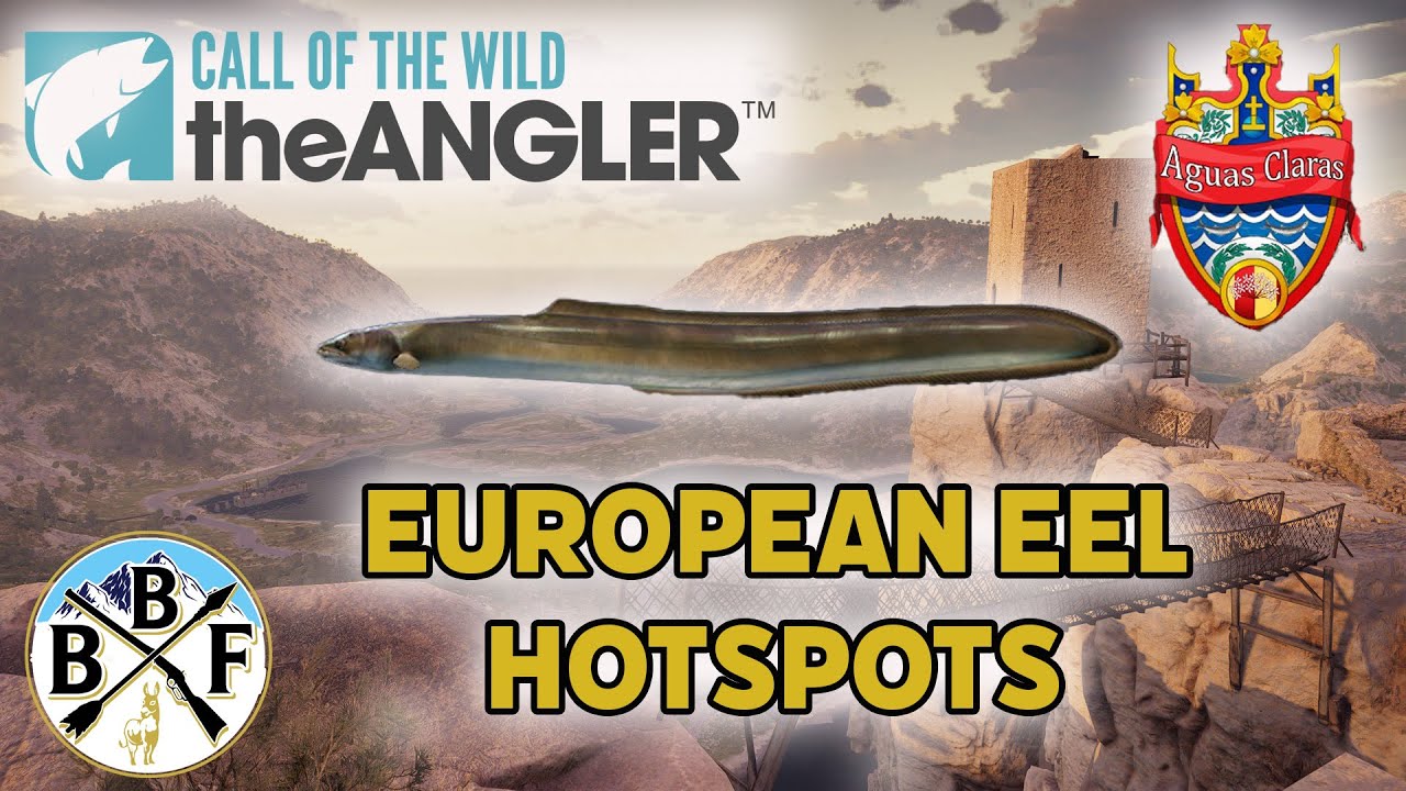 Hotspot Guide: European Eel - Plus Hook Size, Bait and Lure!! | Call of ...