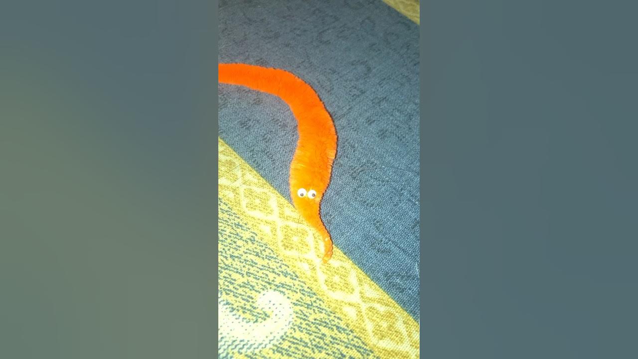 WORM RAVE!! 2 - YouTube