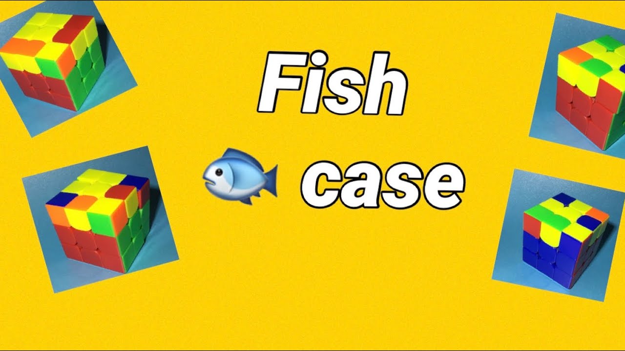 Oll week #2 Fish case! - YouTube