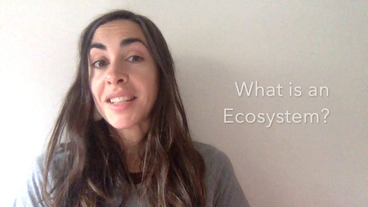 BEMP Basics - YouTube