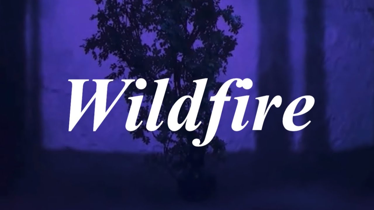 [몬스타엑스 노리밋콘] No Limit Concert | WIildfire | no limit concert ver ...