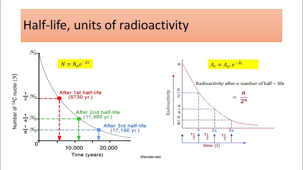 Half-life of radioactive nuclides and units of radioactivity - YouTube