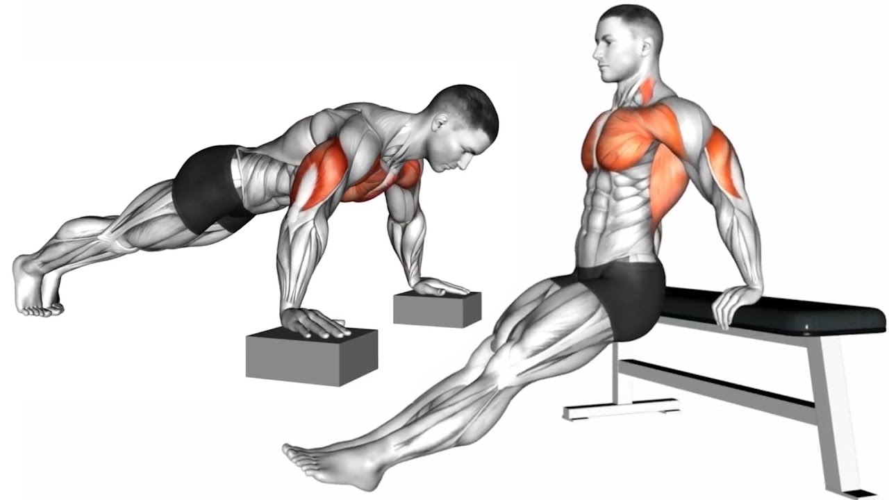 Full Body Muscle Building Home Workout 💪 | No Equipment Follow-Along ...