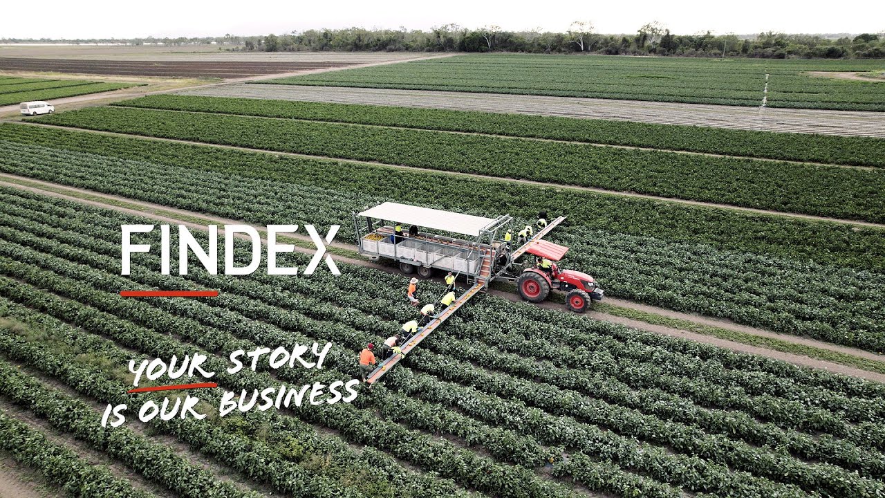 Your Story is Our Business | Rocky Ponds Produce - YouTube