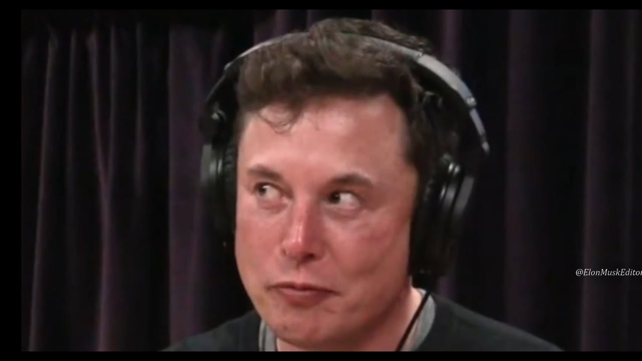 Elon Musk Funny Moments Part 8 #elonmusk - YouTube