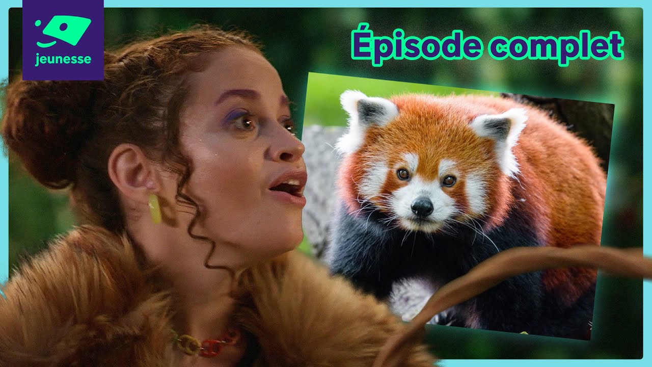 Découvre pourquoi le panda roux est génial 😍 | L'aventure du Monde des mondes - YouTube