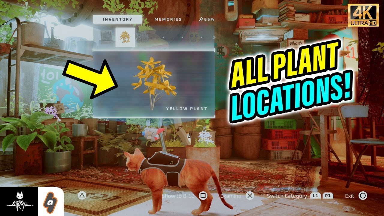 EASY GUIDE: All Plant Locations in Ant Village (Badges Trophy) | Stray ...