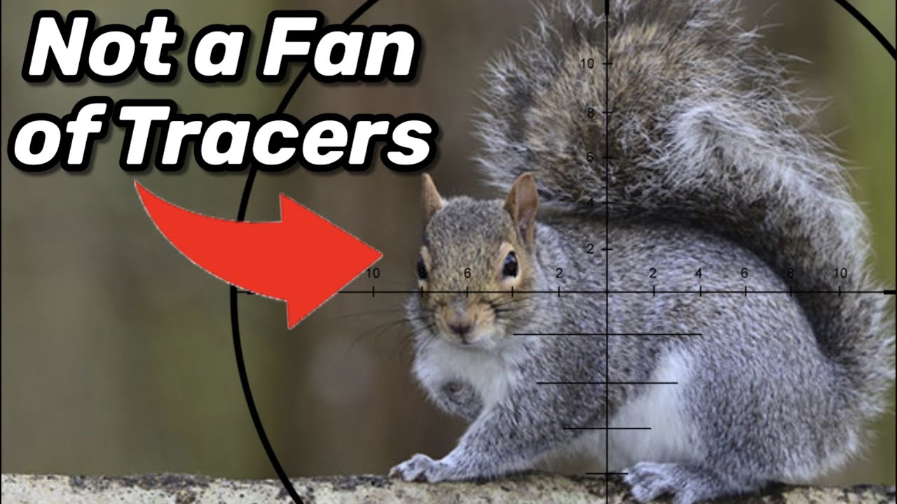 Problems with Squirrels? Click This! - YouTube