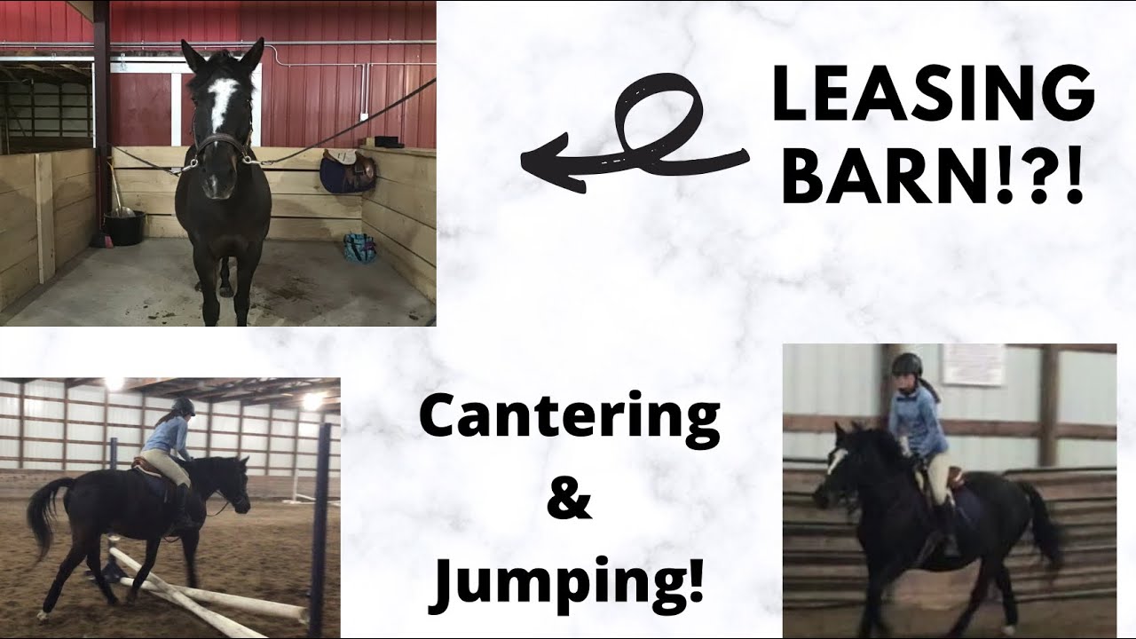 Leasing barn!?! Cantering+jumping! (lesson update #2) - YouTube