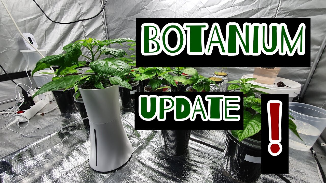 Botanium update 2020 - YouTube