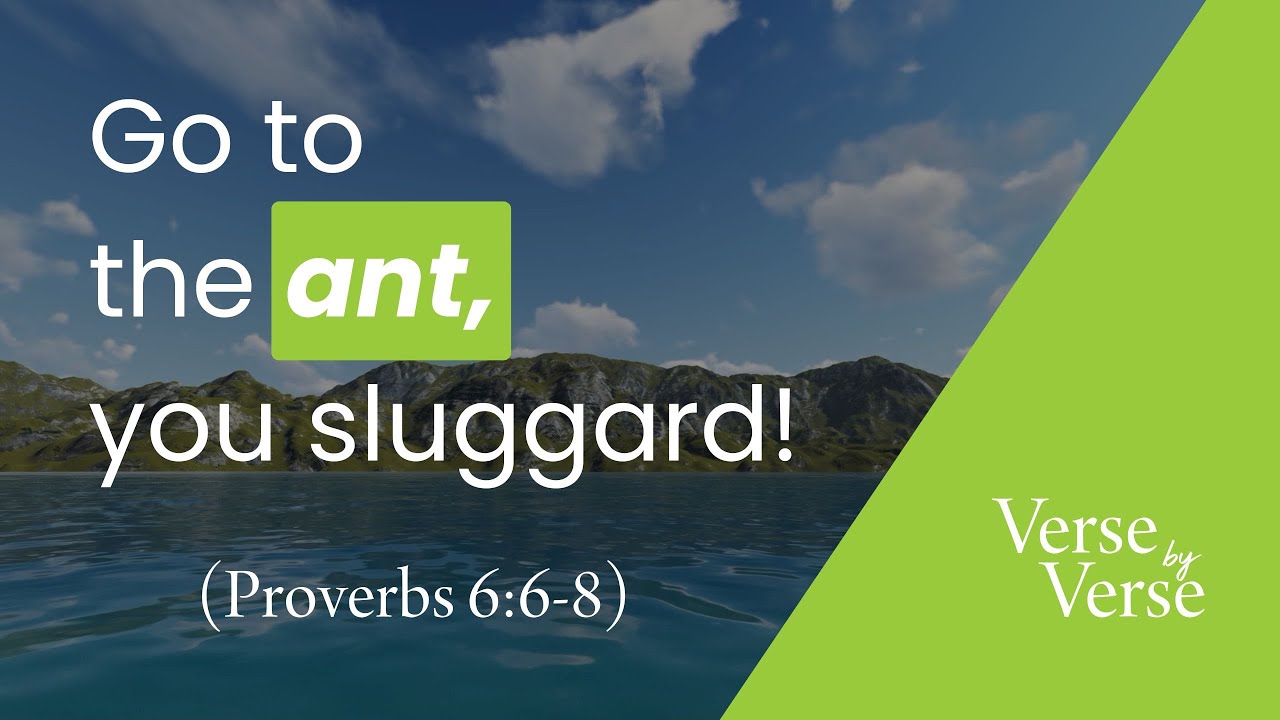 Go to the Ant, You Sluggard! (Proverbs 6:6-8) | Verse by Verse - YouTube