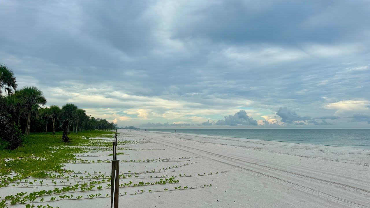 Part 2 of Robb’s Tuesday Morning Beach Walk in North Naples, Florida ...