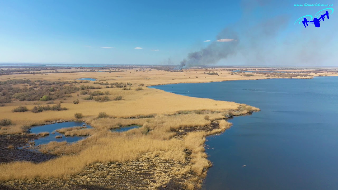 Stuf ars in Delta Dunarii - DJI Mavic 2 Pro - YouTube