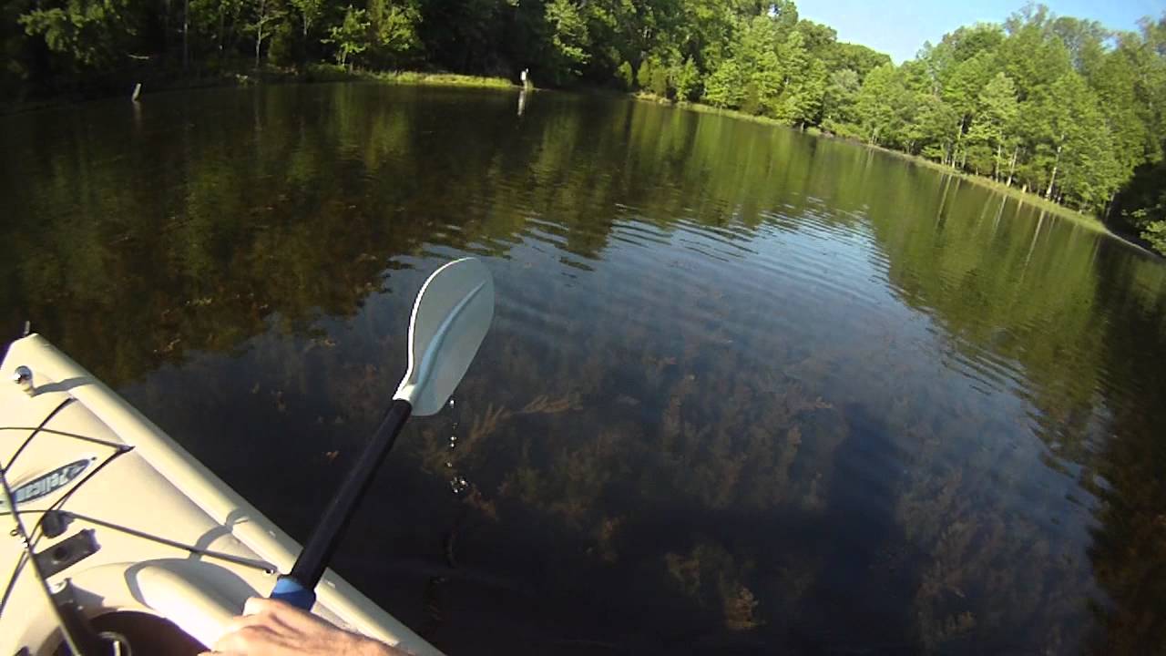 Creech Hollow Lake @ Montgomery Bell State Park - YouTube