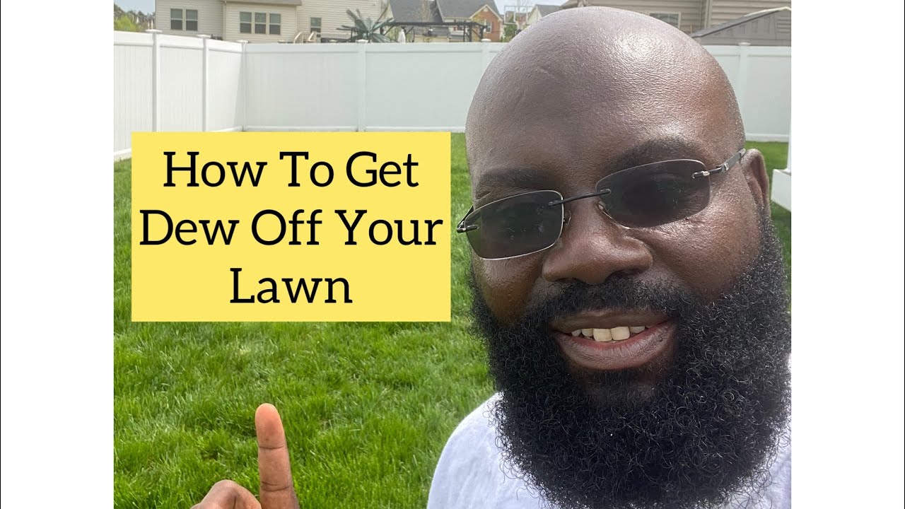 Unbelievable Hack to Remove Dew Quickly - You Won't Believe What It Is ...