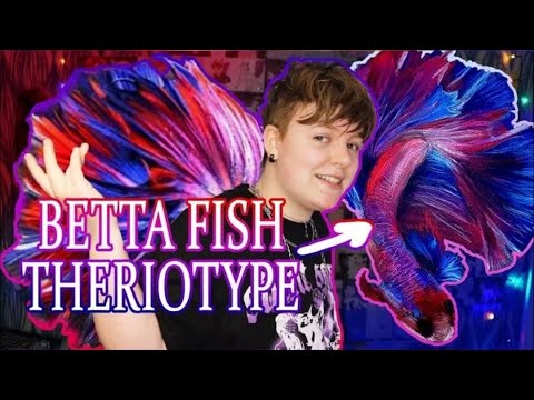 All about my BETTA FISH THERIOTYPE | Therianthropy - YouTube
