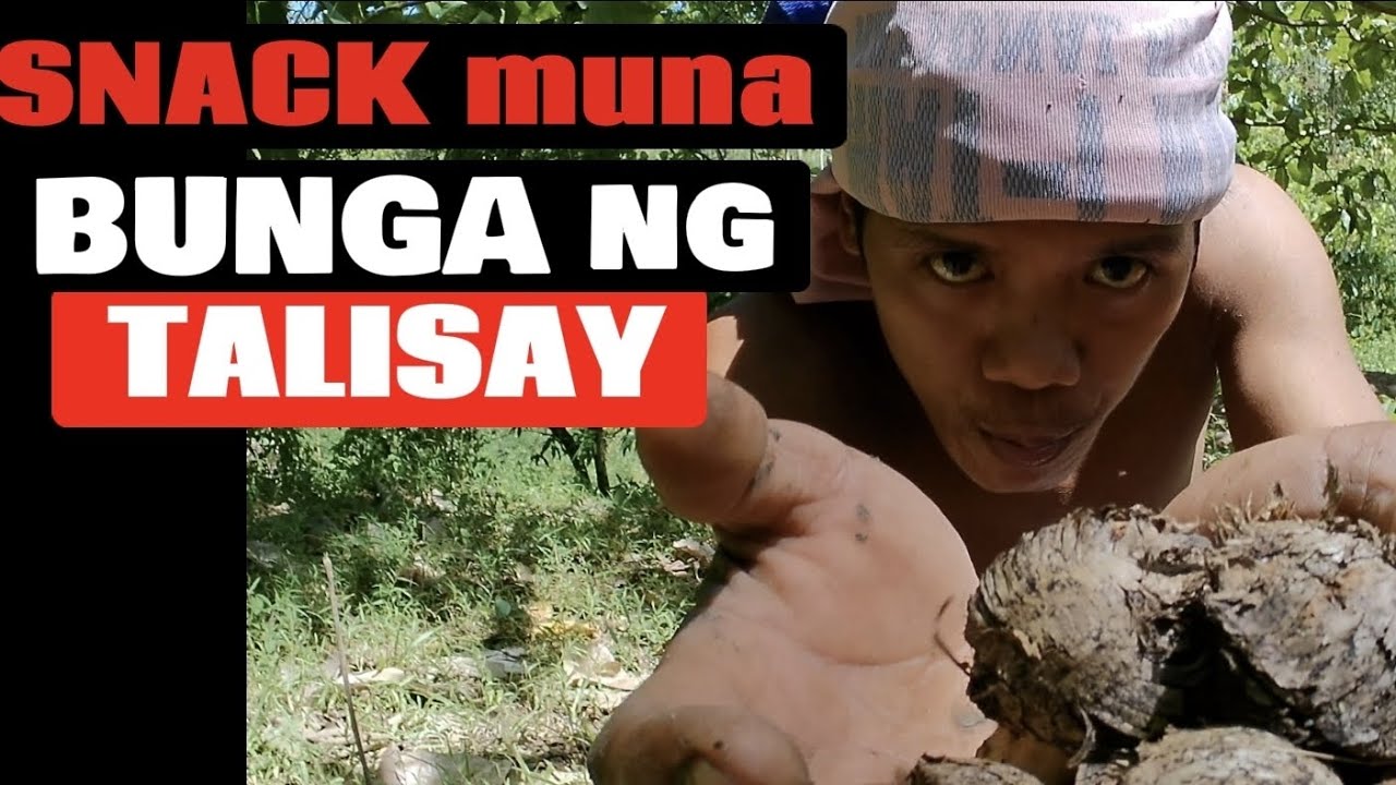 BUNGA NG TALISAY MUKBANGIN NATIN | SUPER TARZAN - YouTube