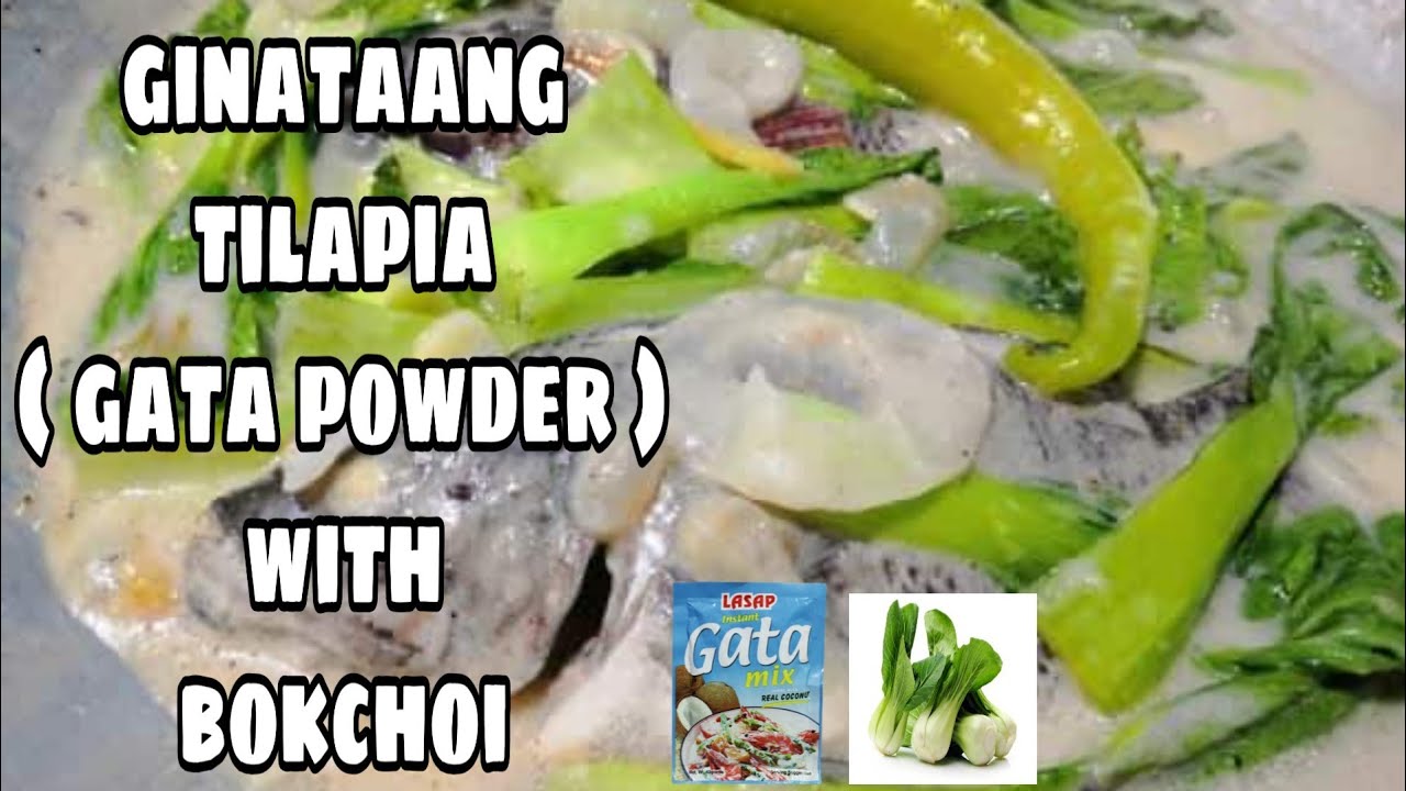 GINATAANG TILAPIA (INSTANT POWDER GATA) WITH BOK CHOI | QUICK & EASY ...