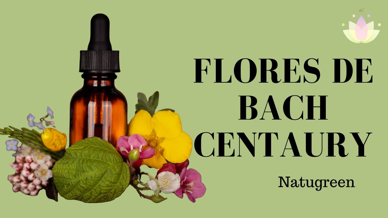 Guía de Centaury ~ Flores de Bach - YouTube