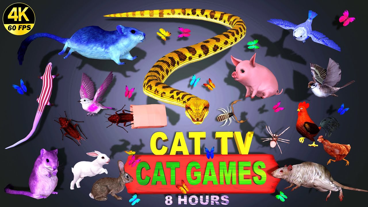 CAT GAMES OFFICIAL | BEST CAT GAMES ULTIMATE Bugs, Mouse, Snake, Birds ...