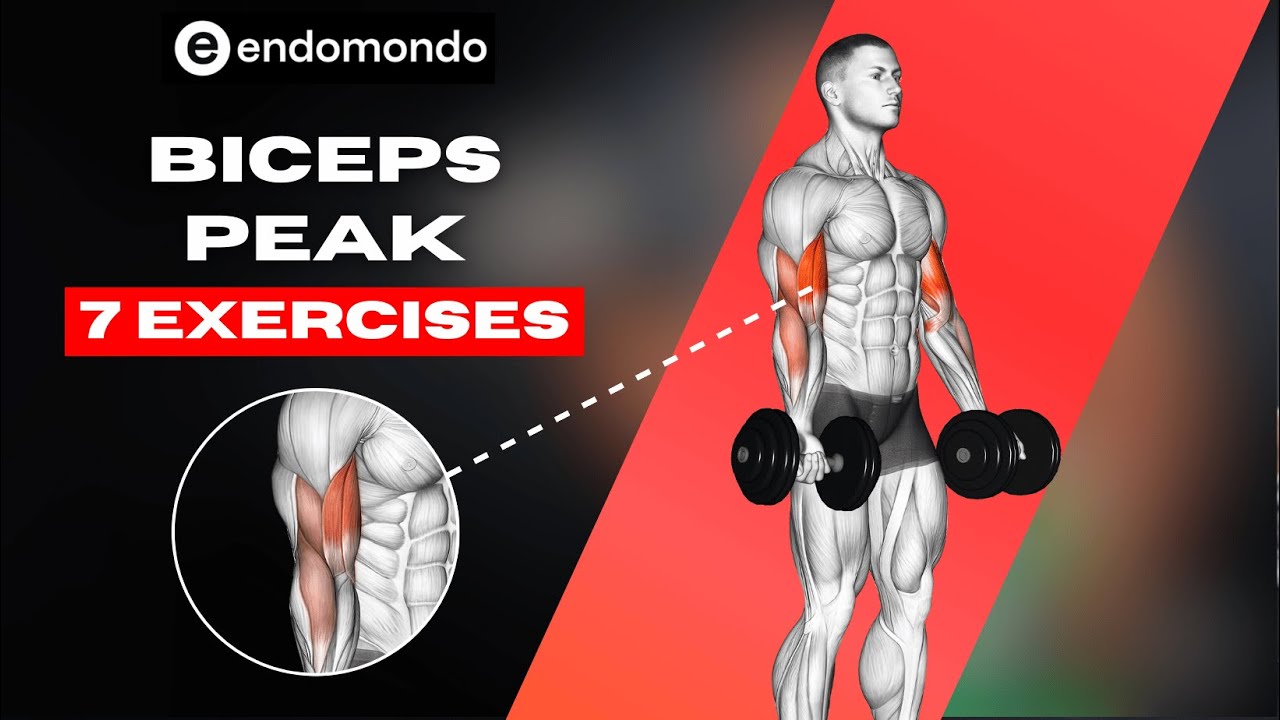 BEST BICEP PEAK EXERCISES: Sculpt and Build Bigger Arms! - YouTube