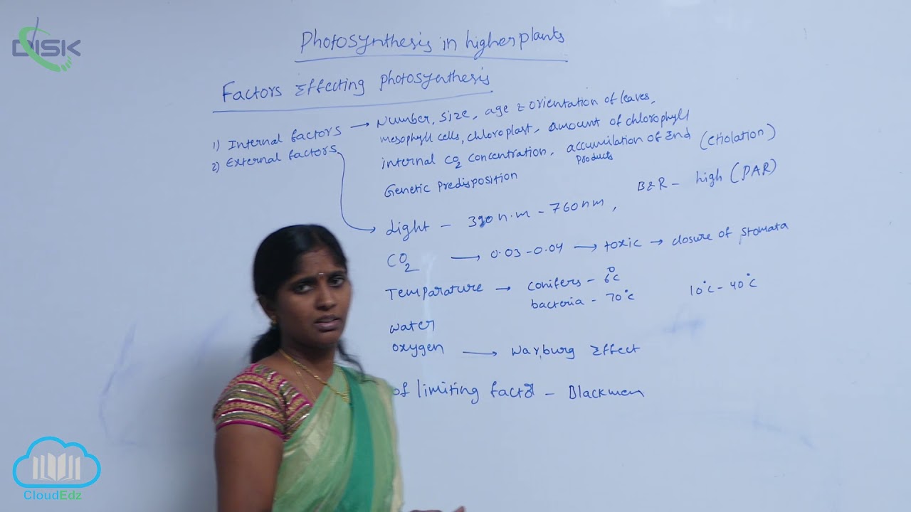 FACTORS AFFECTING PHOTOSYNTHESIS || Factors Aff Phosyn || Disk ...