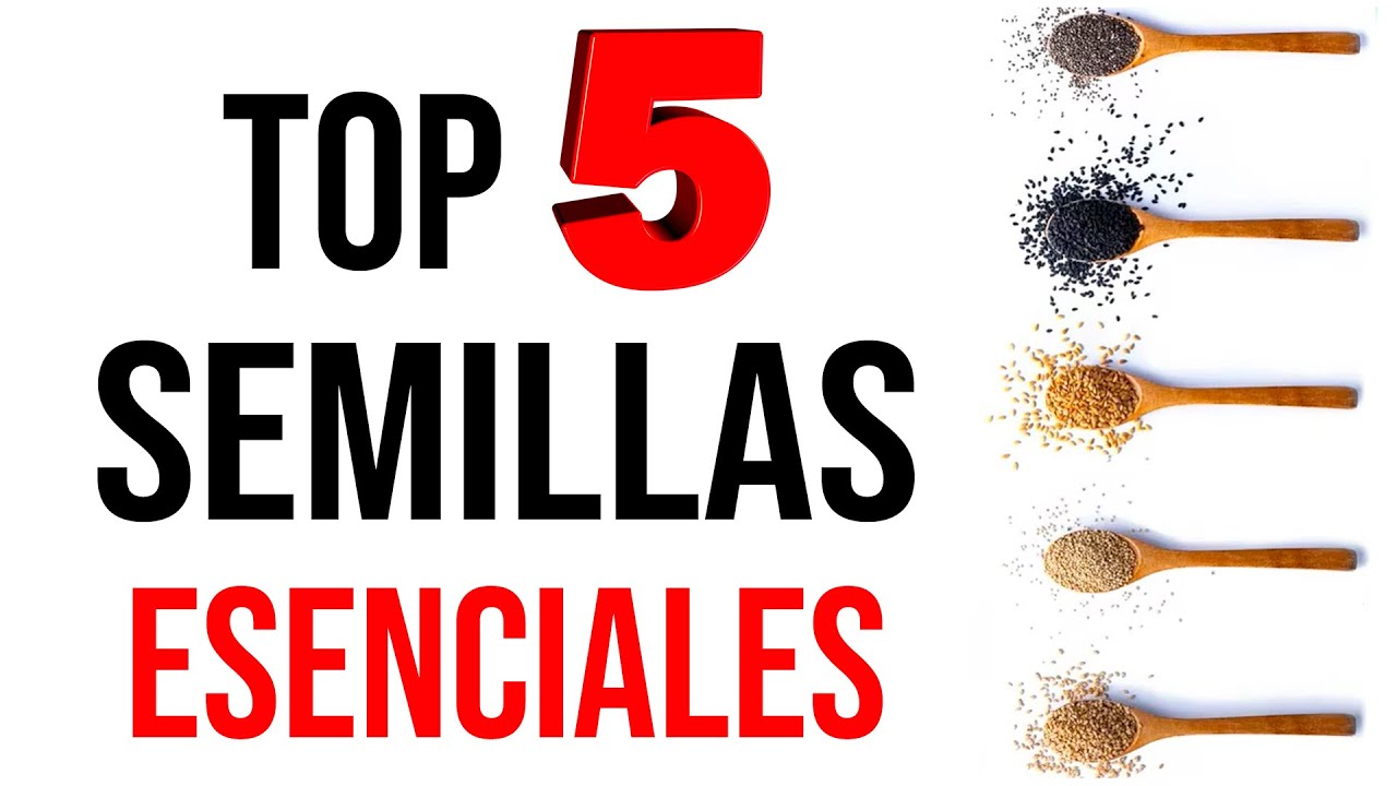 😱 Incorpora estas 5 SEMILLAS INDISPENSABLES en tu Alimentación 🔝 ...