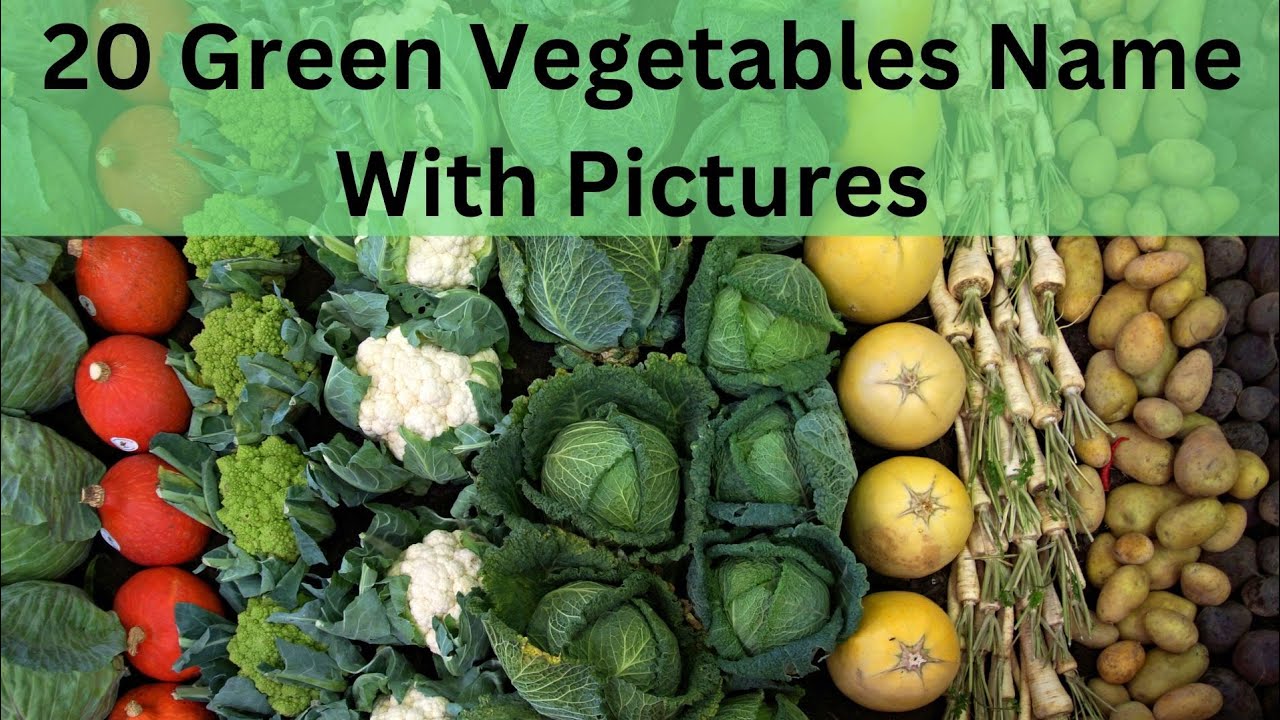 20 Green Vegetables Name with Pictures and Spellings|English Vocabulary ...