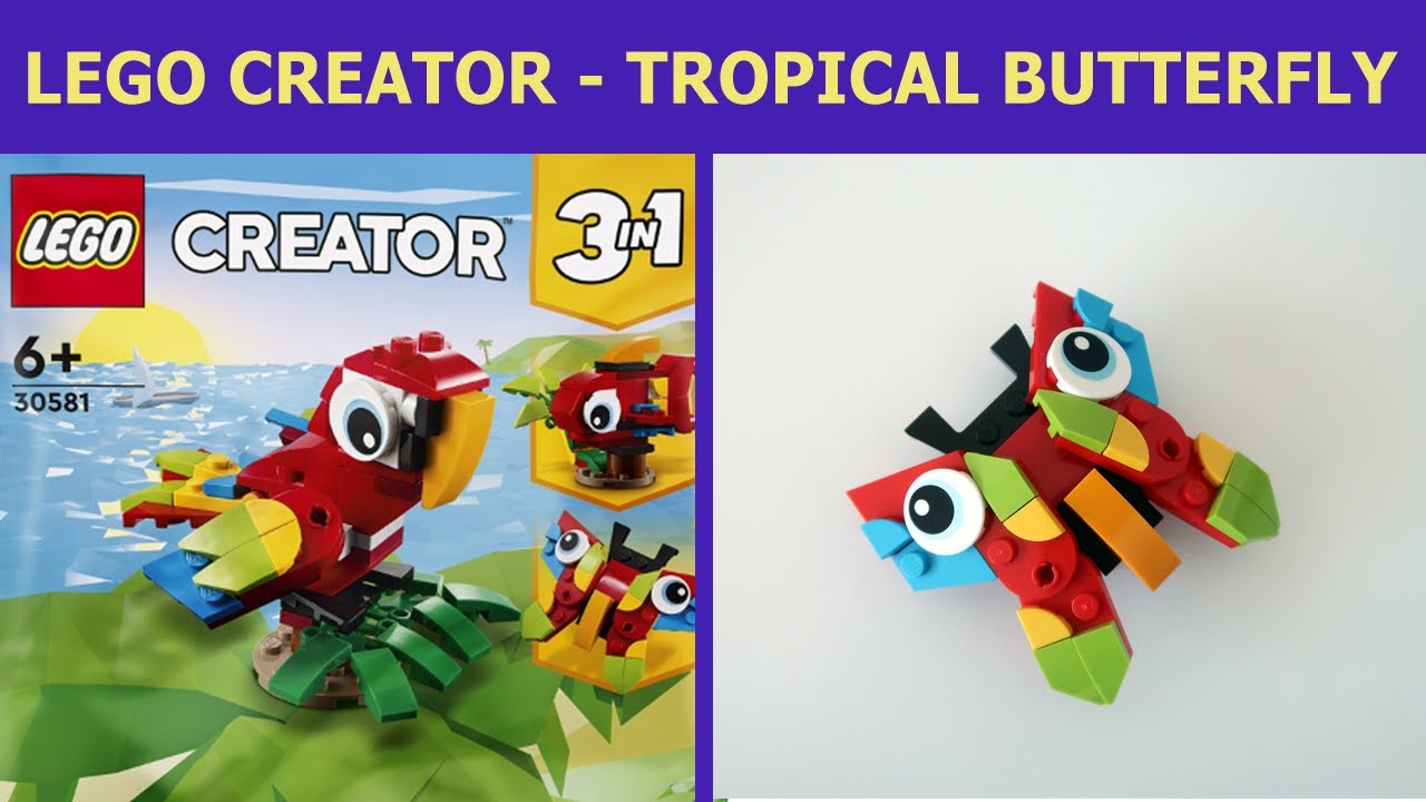 LEGO Creator 30581 - 3in1 || TROPICAL BUTTERFLY - YouTube