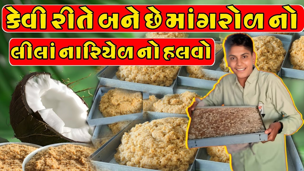 માંગરોળ નો પ્રખ્યાત લીલાં નારિયેળ નો હલવો !! Mangrol's famous green ...