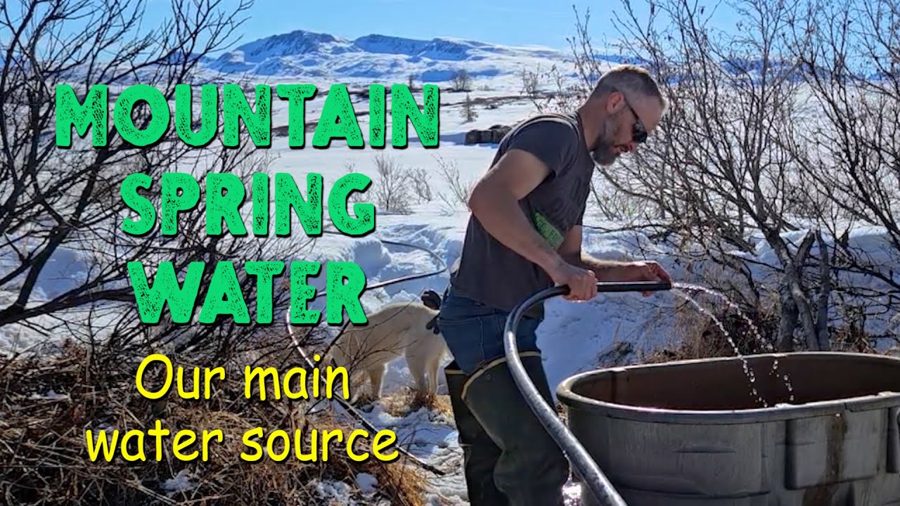 Installing Our Summer Water Line - Natural Spring - YouTube