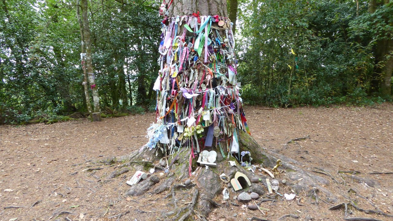 Aberfoyle & Doon Hill Woodland Walk Scenery, Stirlingshire Walks, Tour ...
