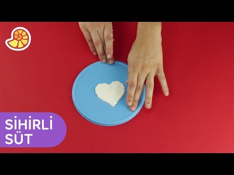 Sütü Taşa Çevirdik! 🥛🐄 | Pratik Bilim