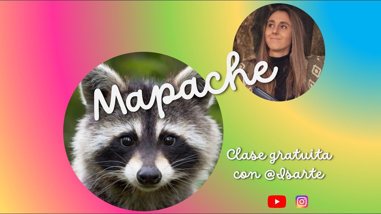 Clase gratuita - Mapache - YouTube