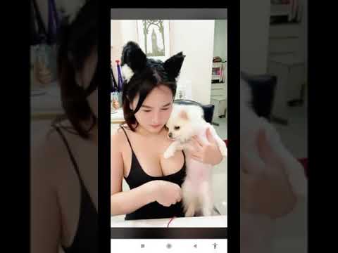 Palmiier Bigo Thai Beauty 1-4