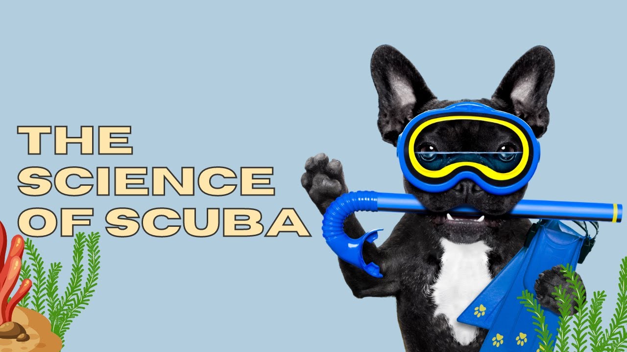 The Science of Scuba Diving - YouTube