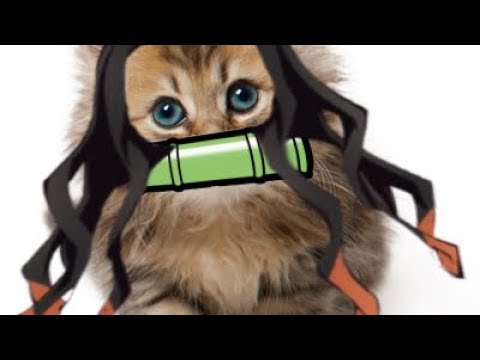 Sad cat dance meme Nezuko chan - YouTube