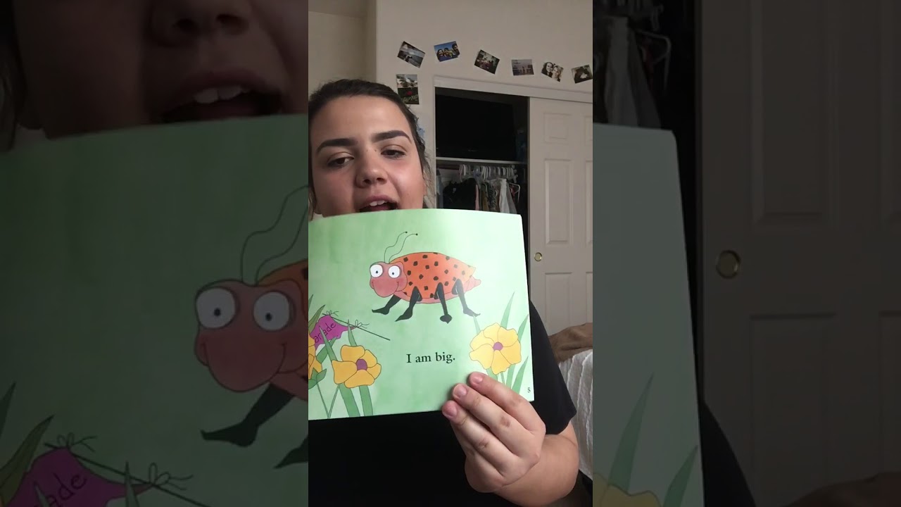 The Best Bug Parade - YouTube