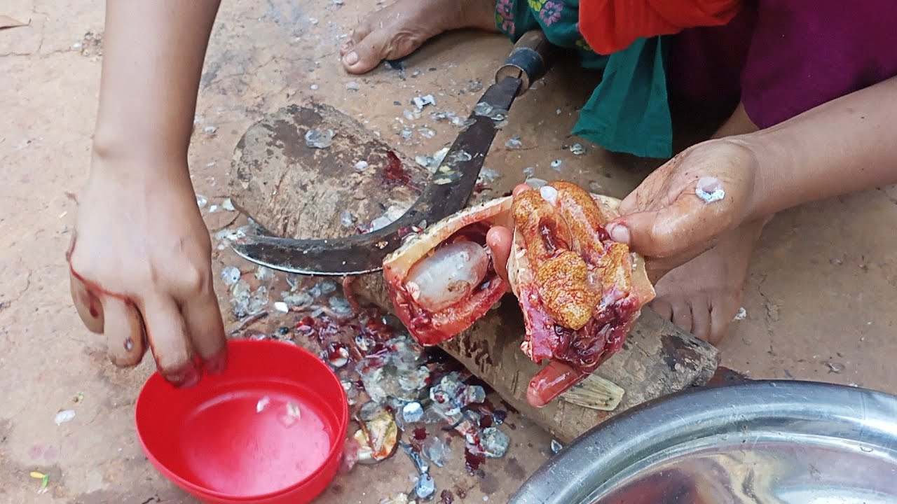 Rural style fish cutting with eggs | Niha's Family - YouTube