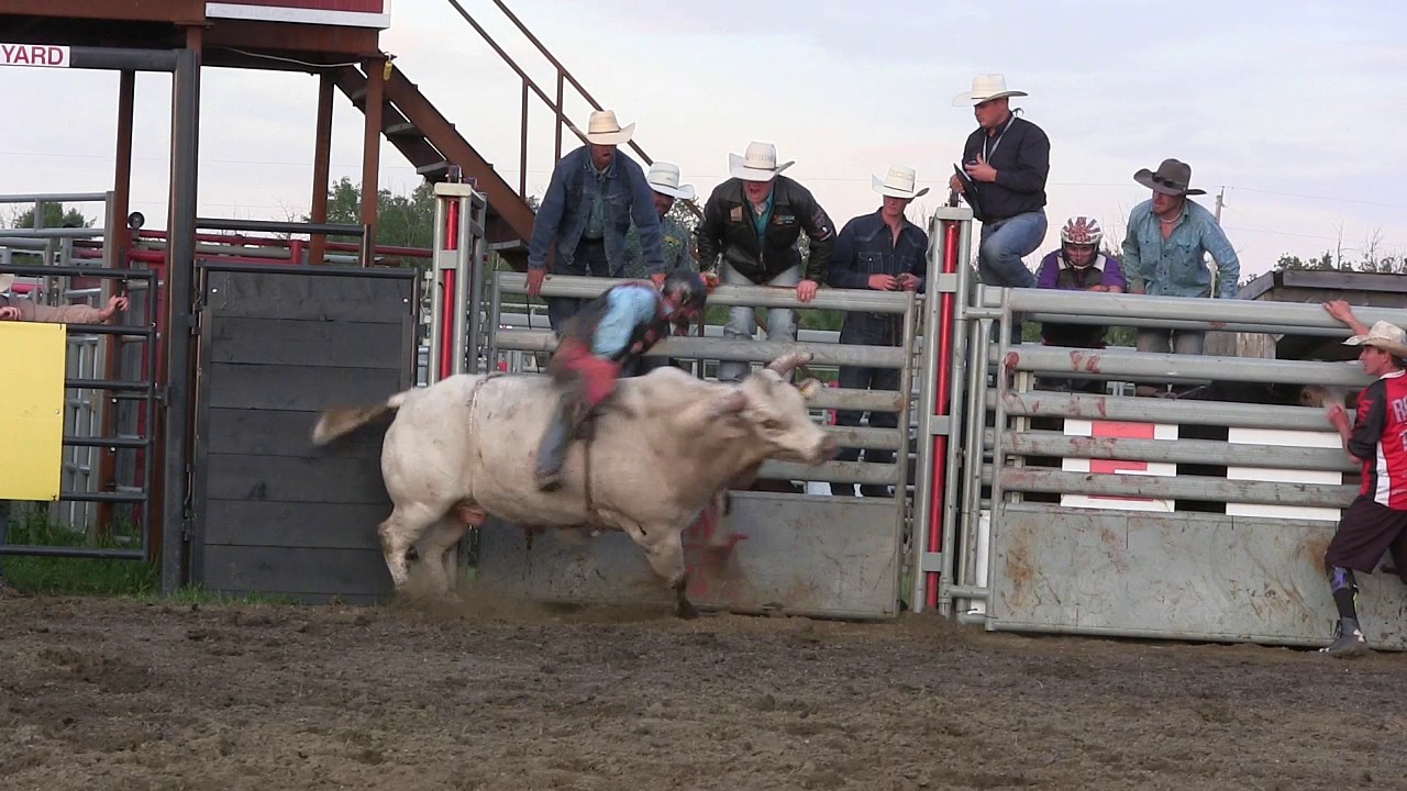 K & J Bucking Bulls' 6453 Double Did scores 87 points (ABBI) - YouTube