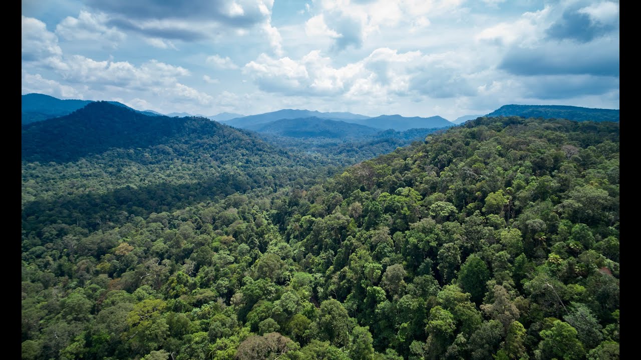 Taman Negeri Rompin, Pahang - Relax, Refresh & Reconnect with Nature ...