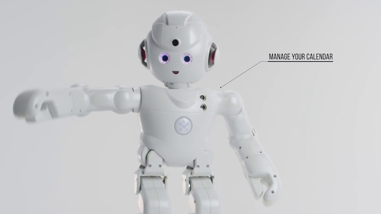 Lynx The First Video Enabled Humanoid Robot with A - YouTube