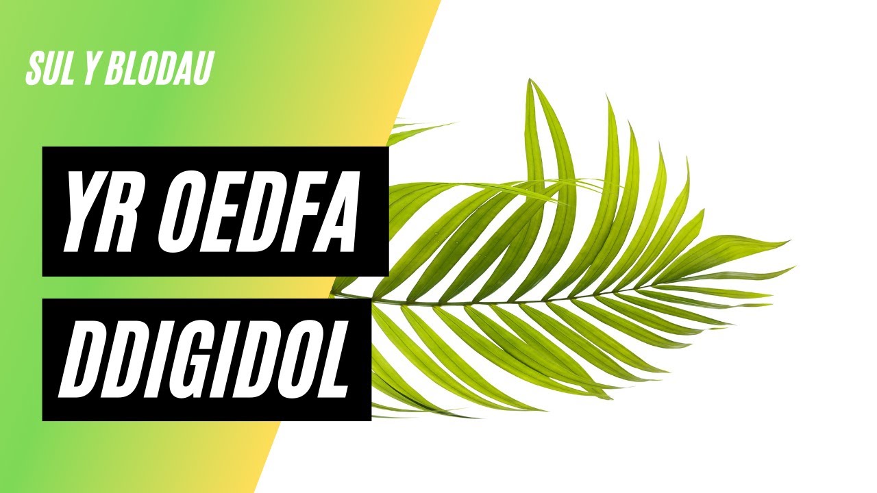 Yr Oedfa Ddigidol Sul Y Blodau Youtube