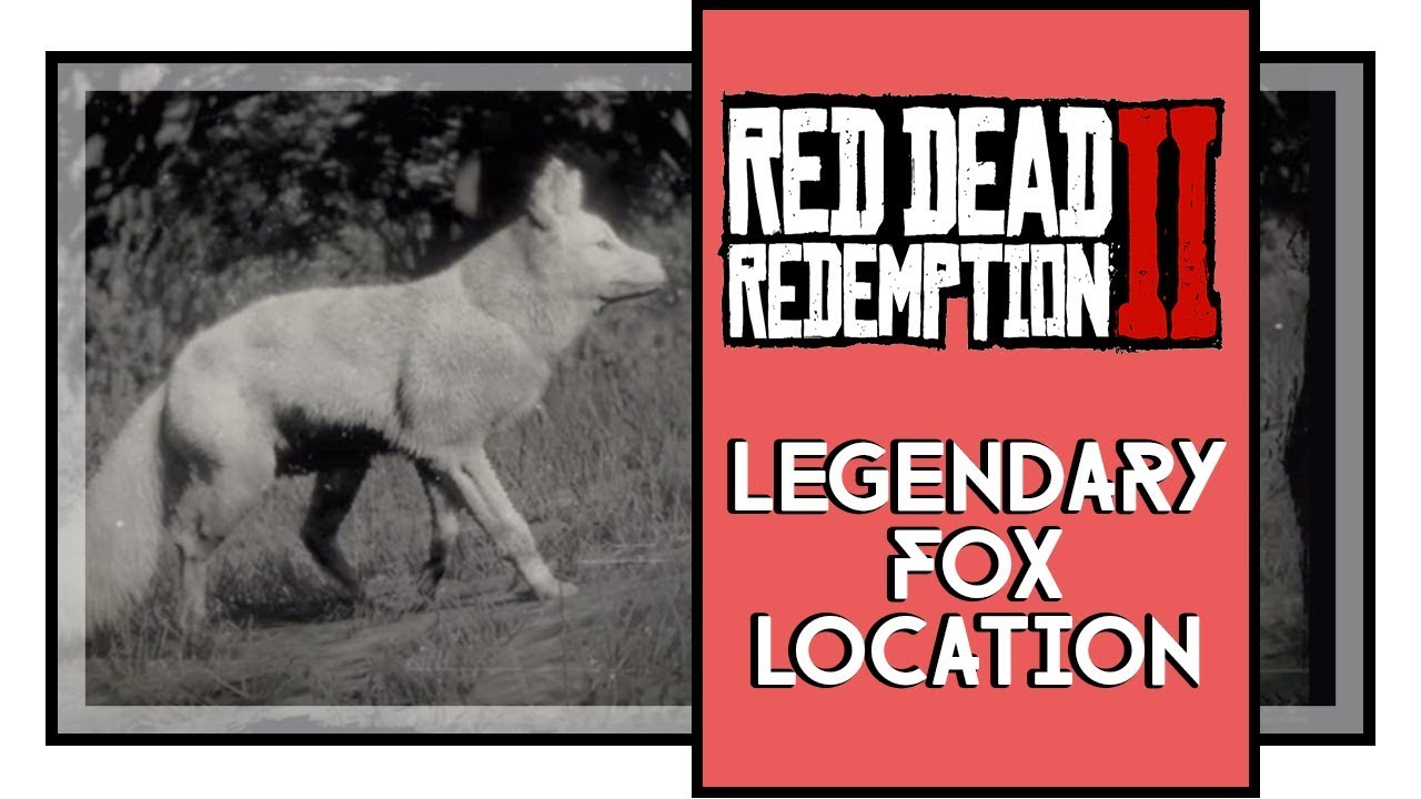 Red Dead Redemption 2 Legendary Fox Location - YouTube