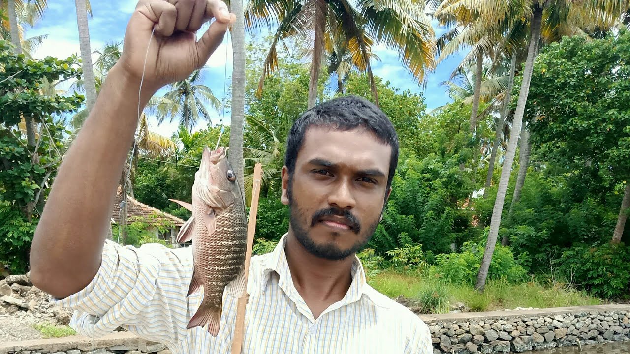 Chemballi fishing kerala. mangrove jack - YouTube
