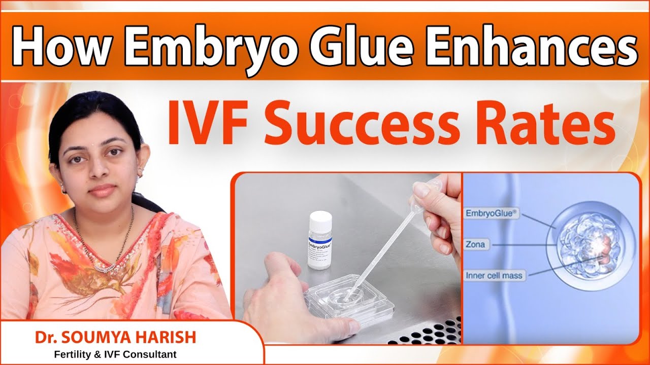Embryo Glue Used in IVF Improves the Chances of Pregnancy in Telugu ...