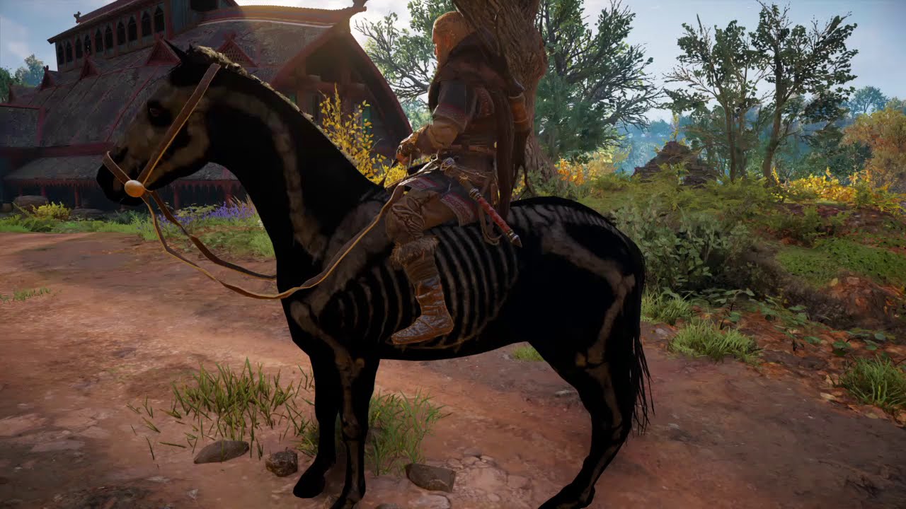 Tribal Stallion Showcase - Assassin's Creed Valhalla - YouTube