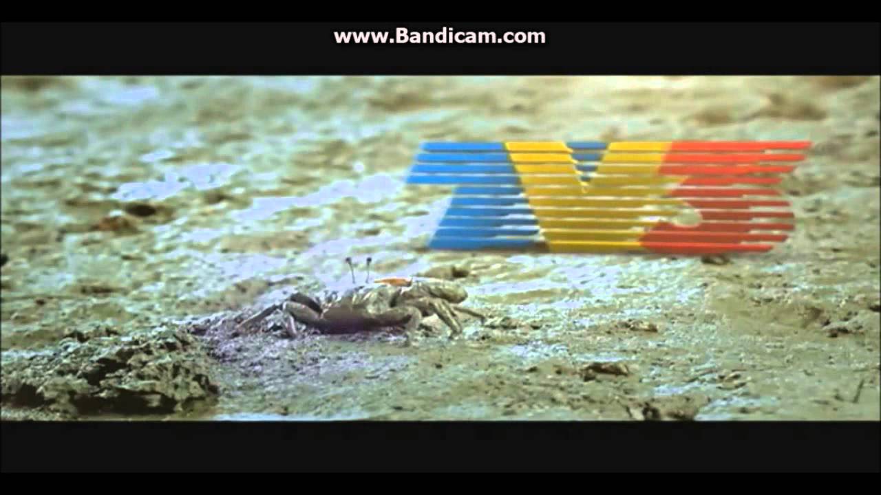 TV3 ident - crab (June 2014) [livestream capture] - YouTube